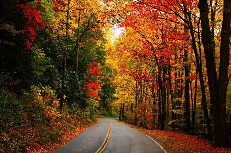 Apple Hill Map - North Canyon InnNorth Canyon Inn